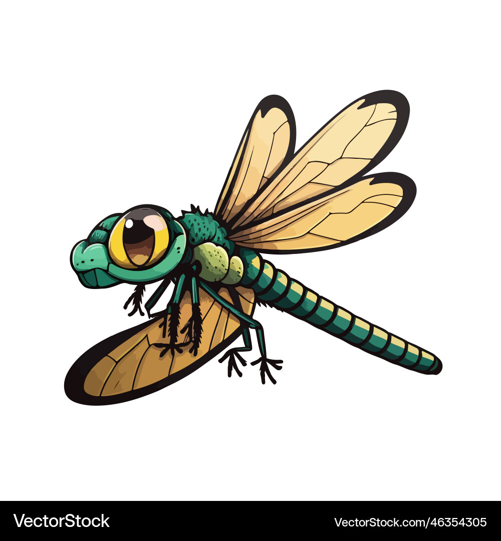 Cute dragonfly cartoon style Royalty Free Vector Image