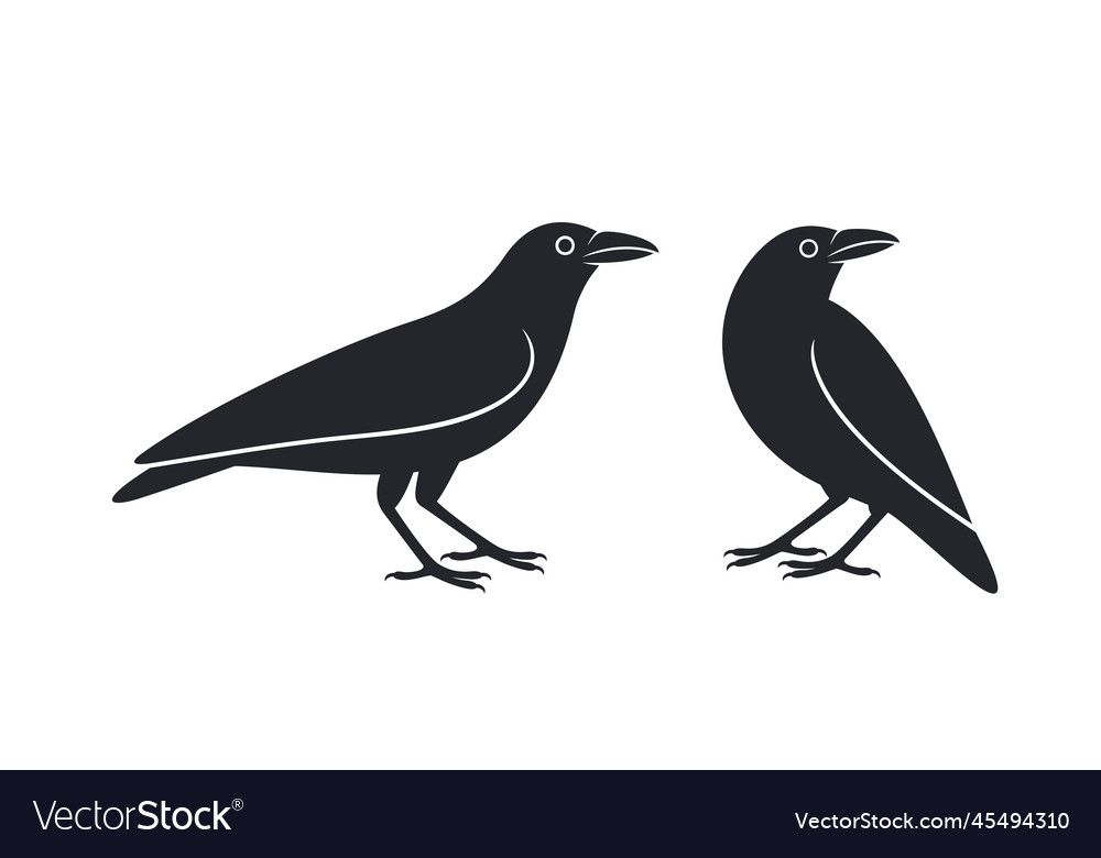 Crow Royalty Free Vector Image Vectorstock