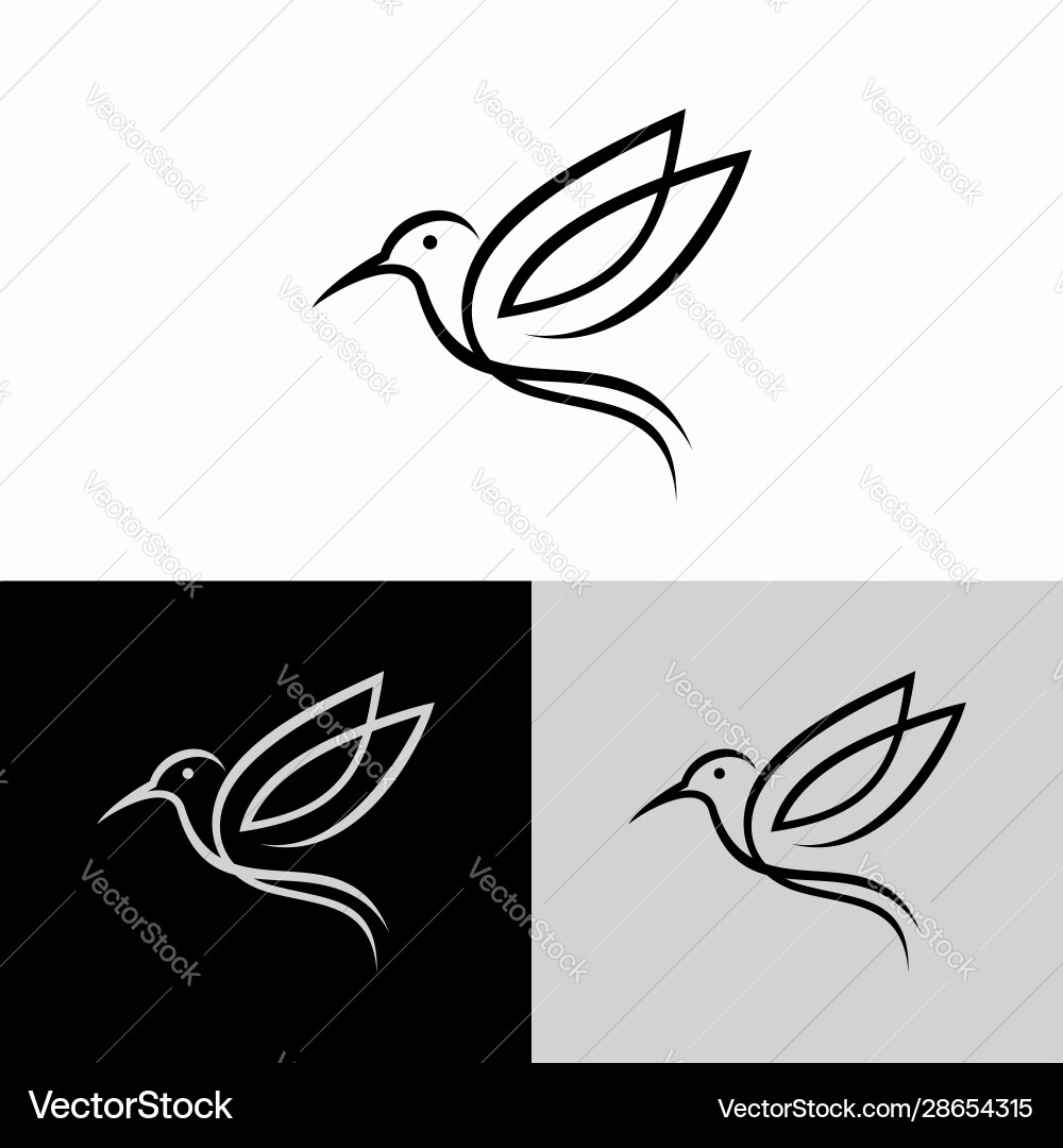 Hummingbird line logo icon designs Royalty Free Vector Image