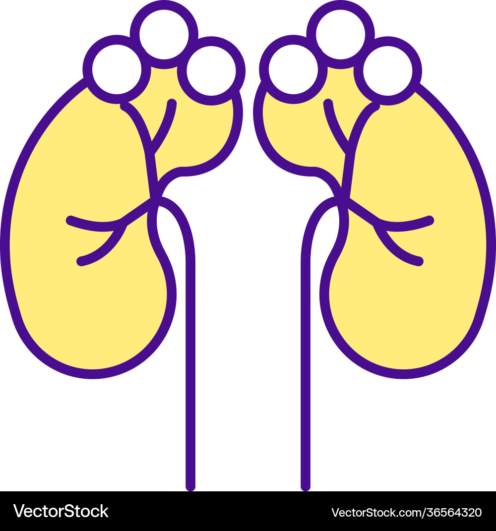 Kidneys rgb color icon Royalty Free Vector Image