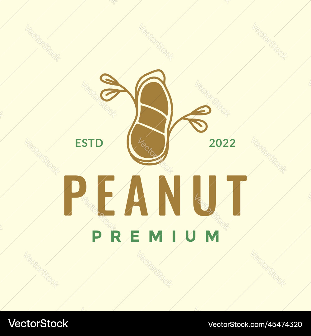 Peanut seed food root plant quality ingredient Vector Image