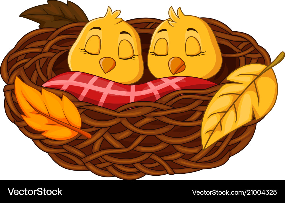Cartoon Birds Nest Nests