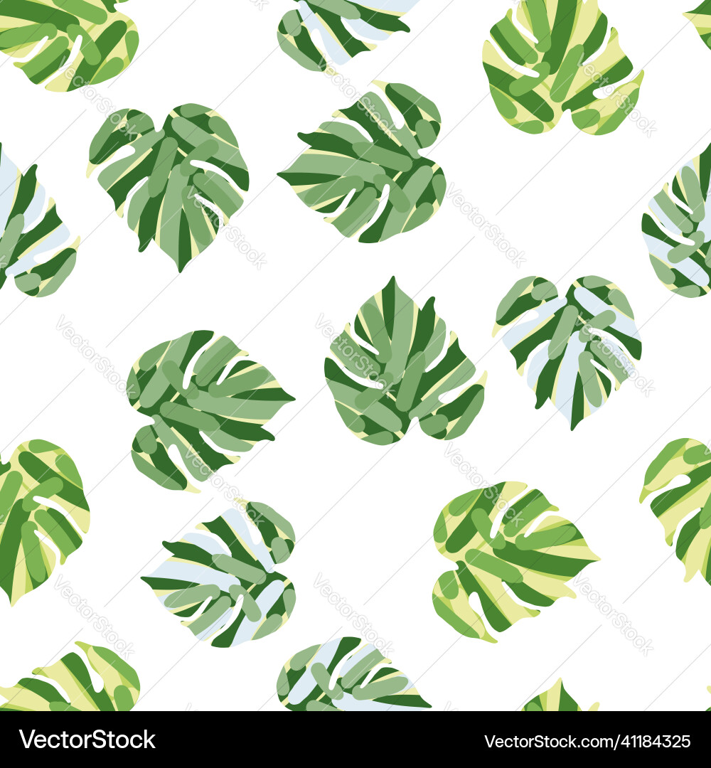 Monstera leaves tropical seamless pattern palm Vector Image