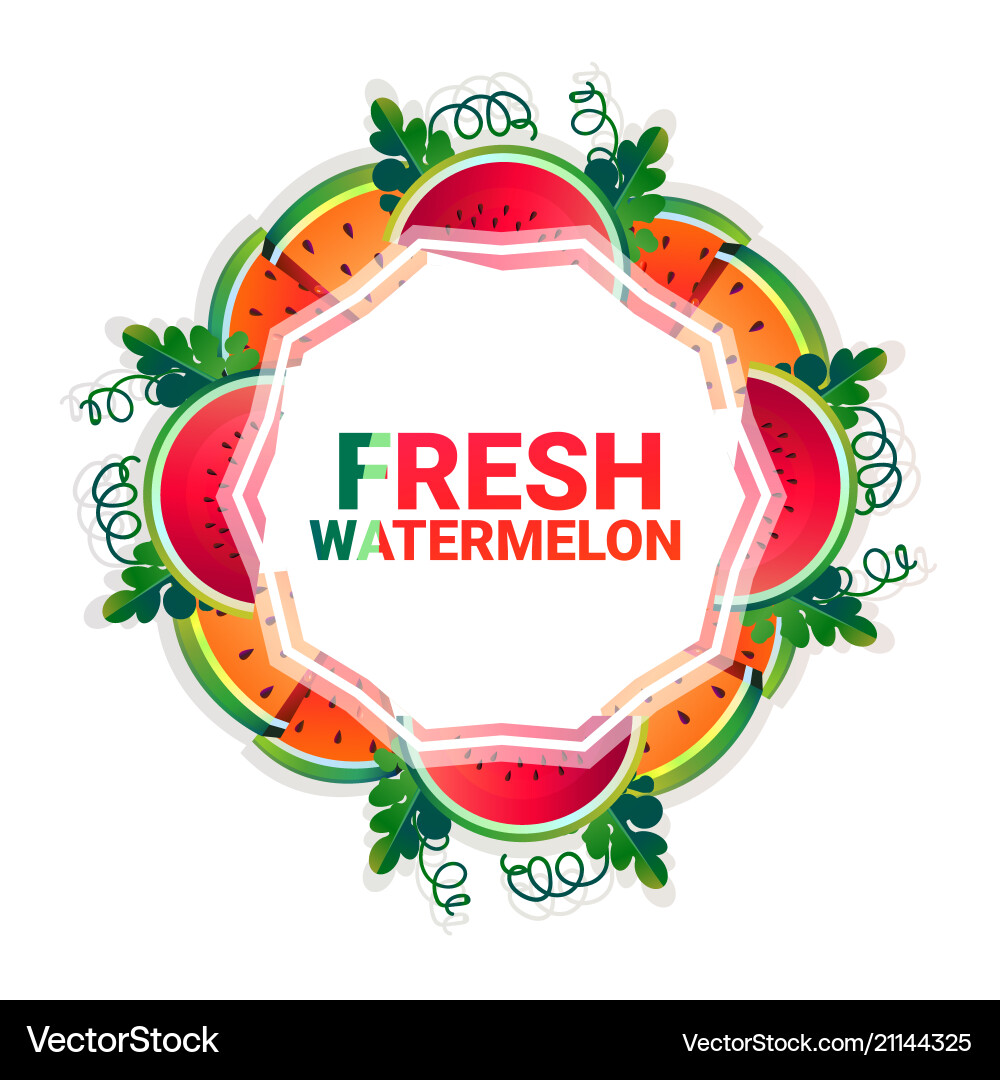 Watermelon fruit colorful circle copy space Vector Image