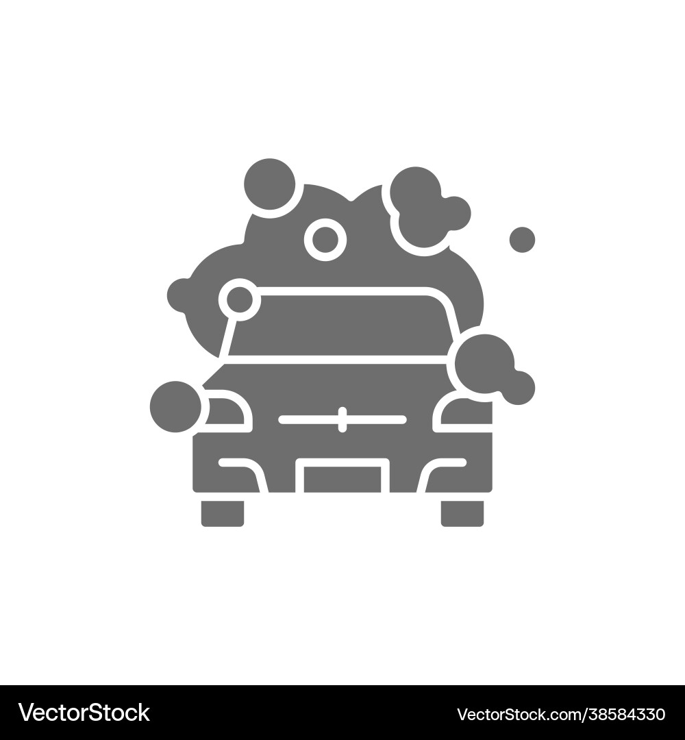 Cleaning car grey icon isolated on white Vector Image