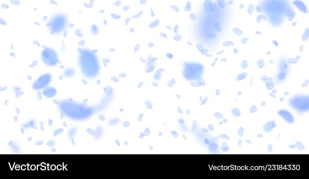 Dark blue flower petals falling down ravishing ro Vector Image