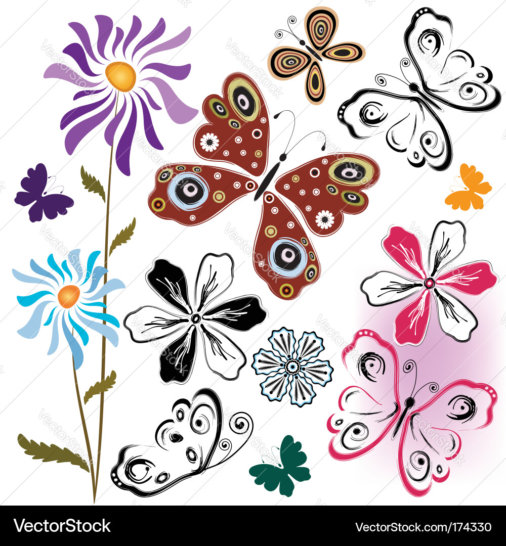 Set butterflies and flowers Royalty Free Vector Image