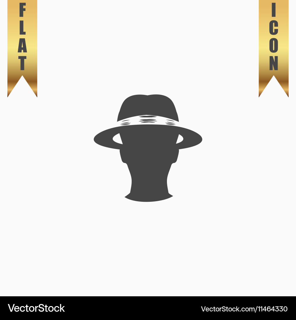 Spy flat icon Royalty Free Vector Image - VectorStock