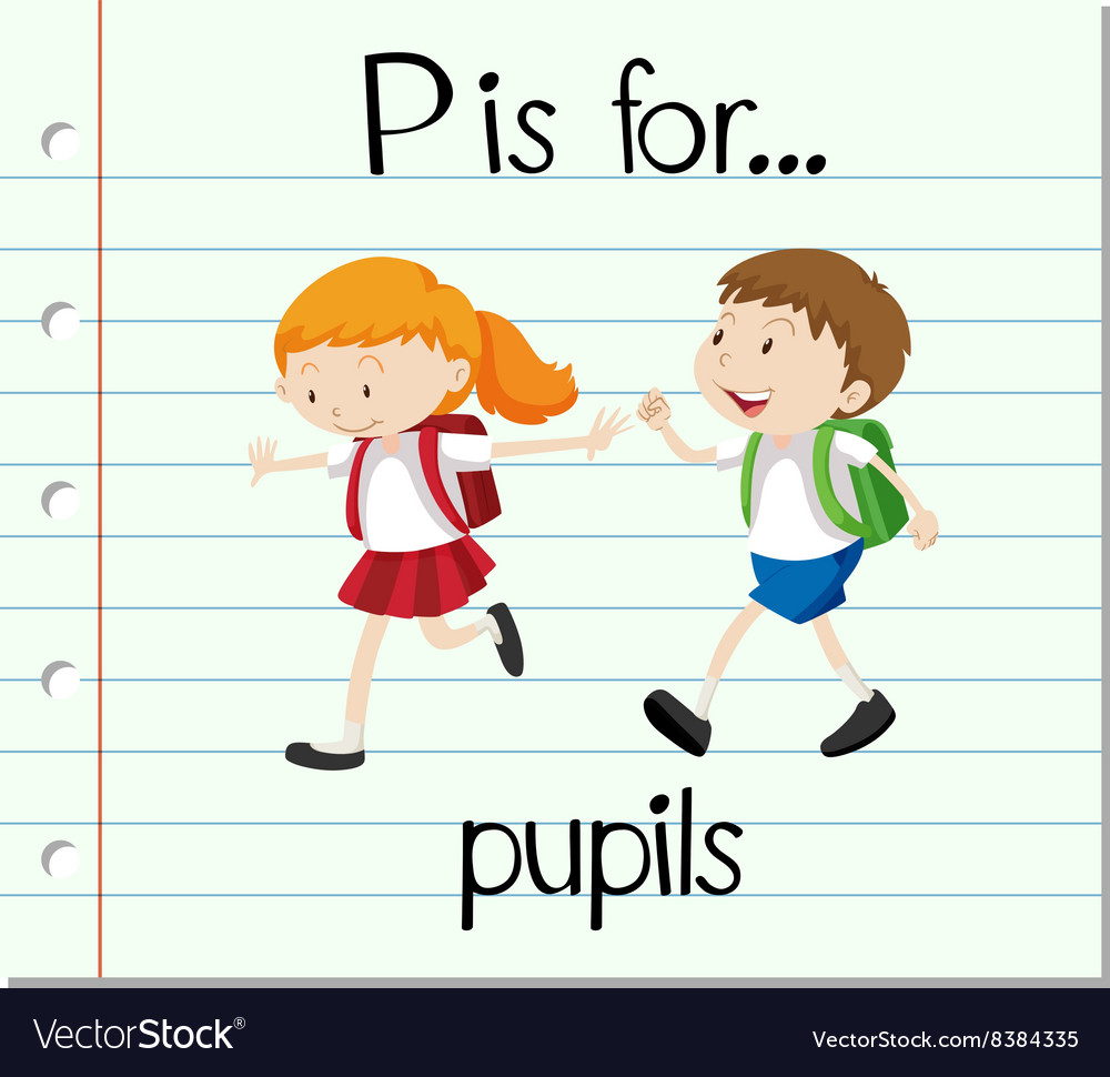 Flashcard letter p is for pupils Royalty Free Vector Image