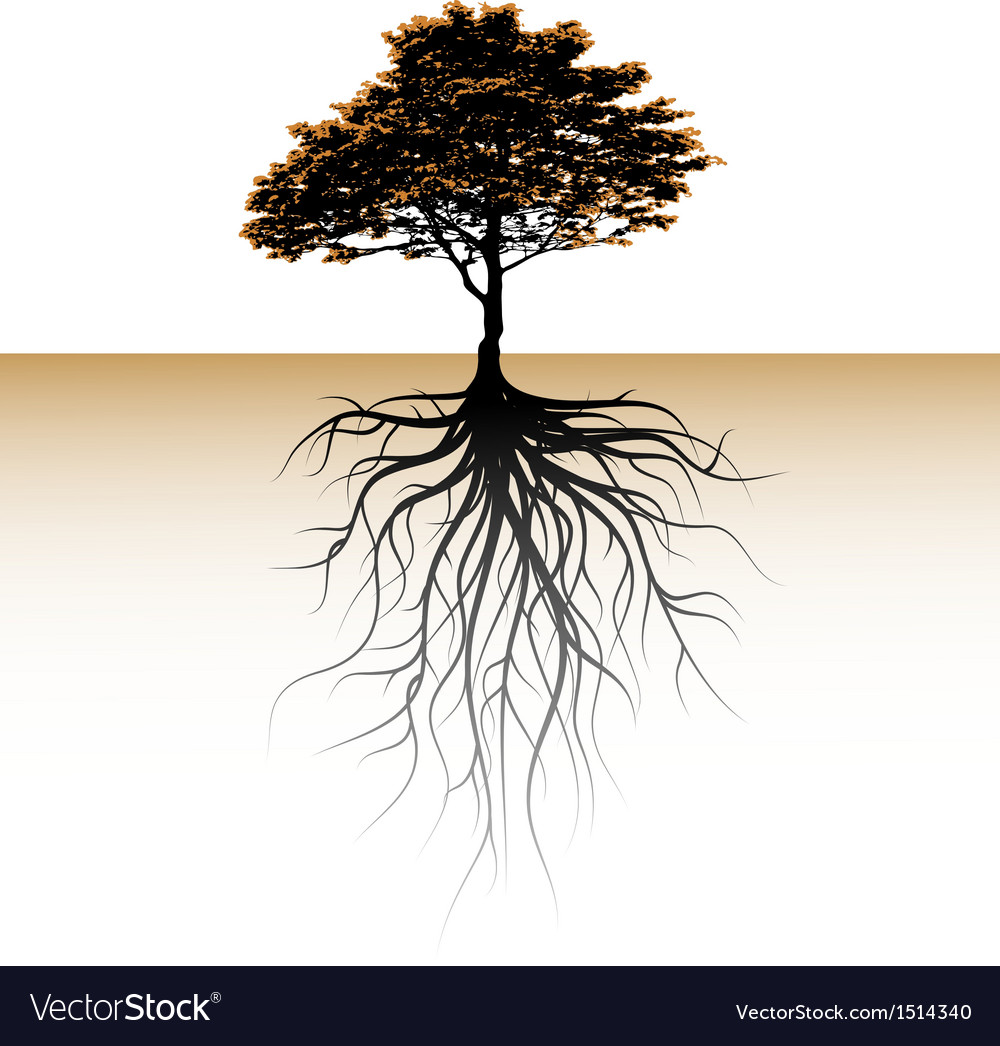 A tree with visible root Royalty Free Vector Image