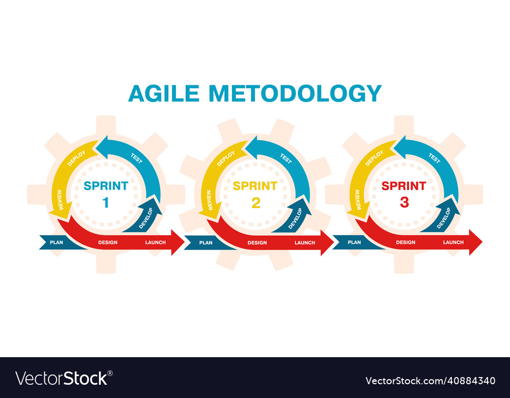 Agile project management development methodology Vector Image