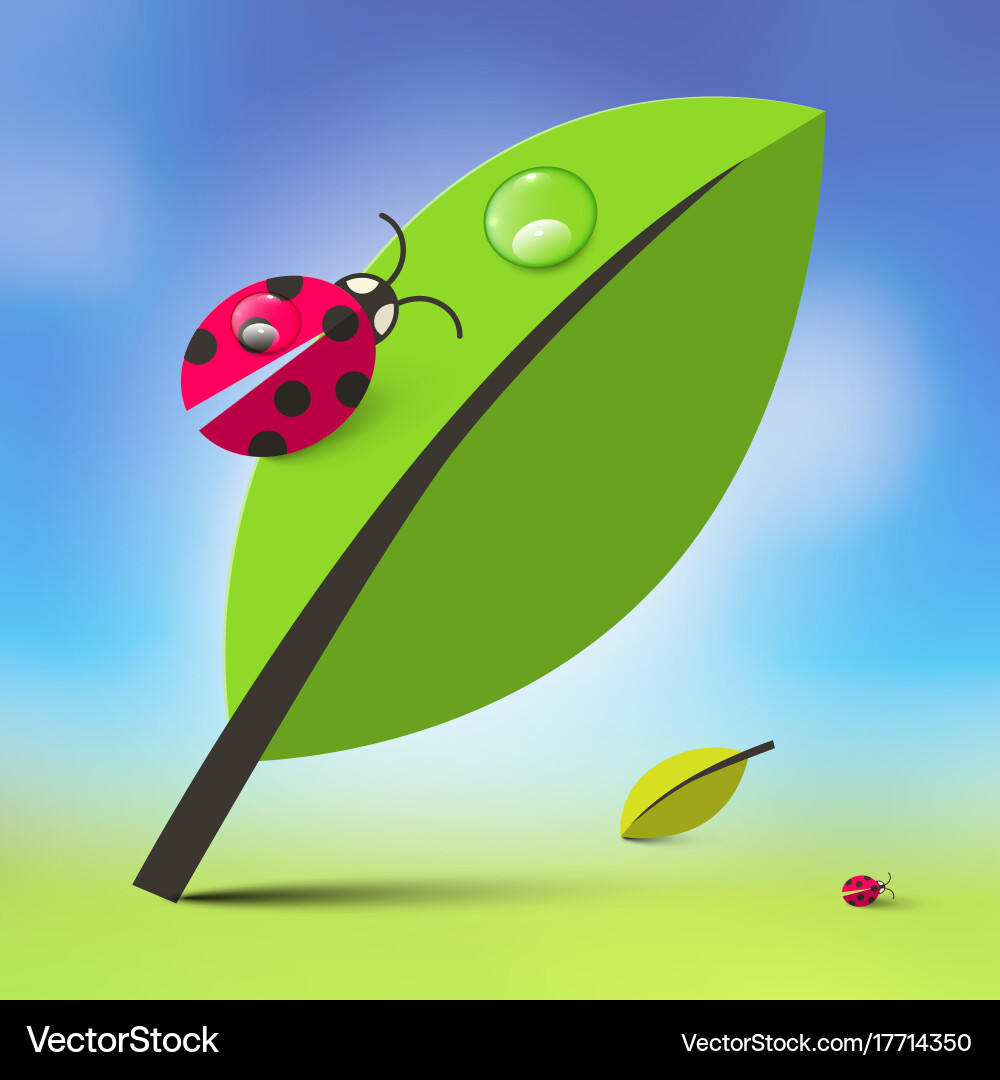 Nature background with leaves and ladybugs spring Vector Image