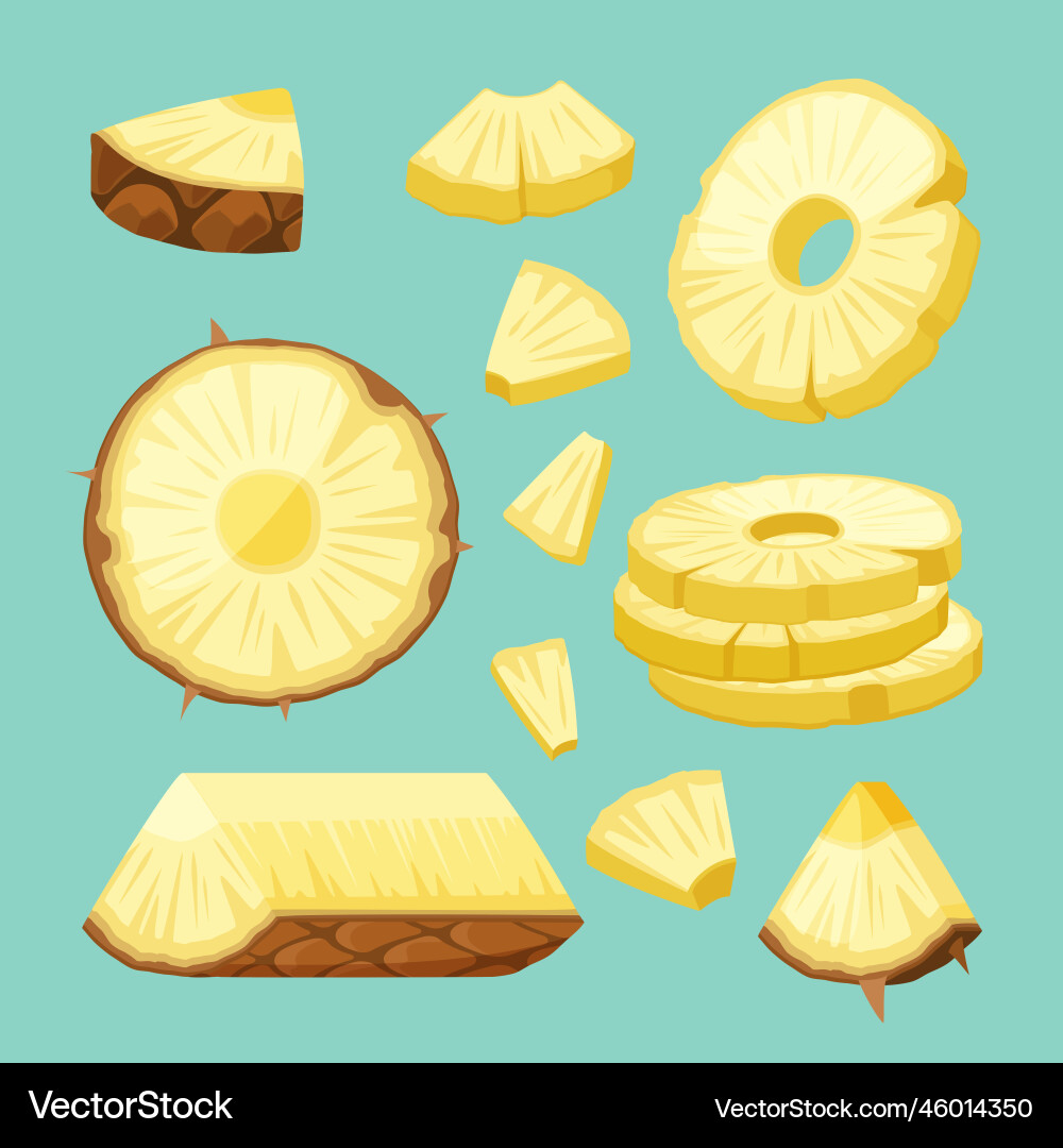 Pineapple sliced juicy fruit pineapples pieces Vector Image