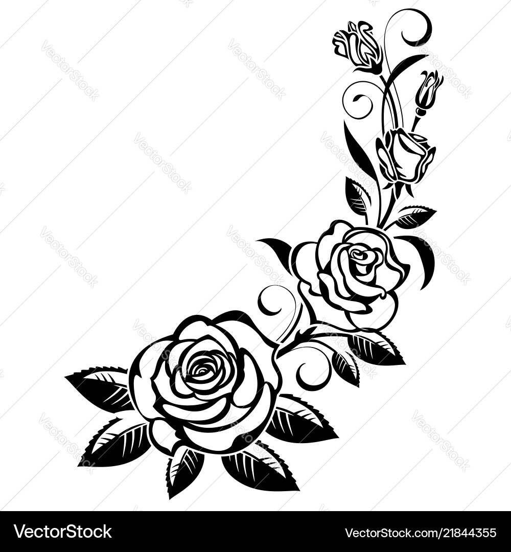 Branch of roses Royalty Free Vector Image - VectorStock