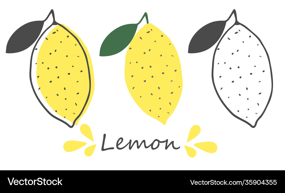 Set lemon hand-drawn design fruits Royalty Free Vector Image