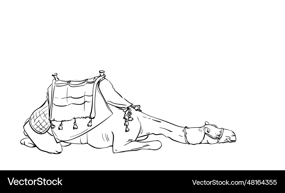 Tired camel with saddle laying and resting line Vector Image