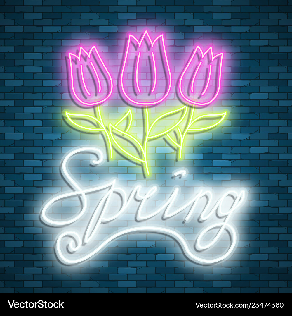 Neon banner spring stock poster Royalty Free Vector Image