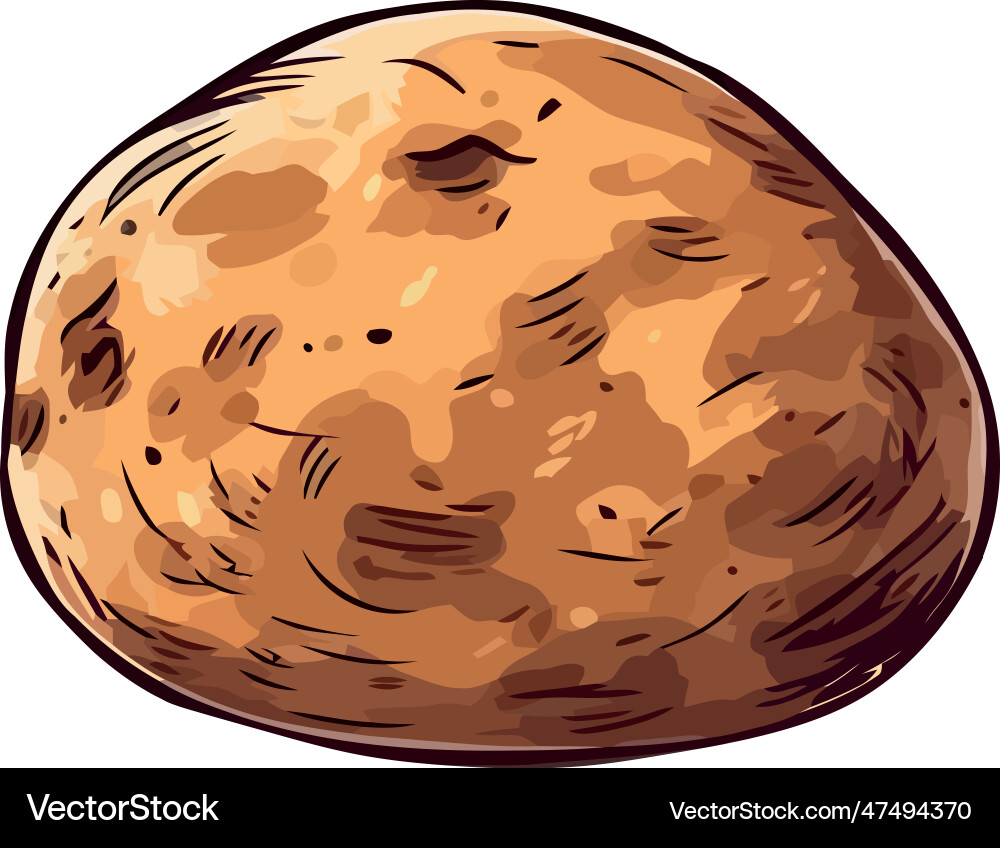 Fresh organic potato meal Royalty Free Vector Image