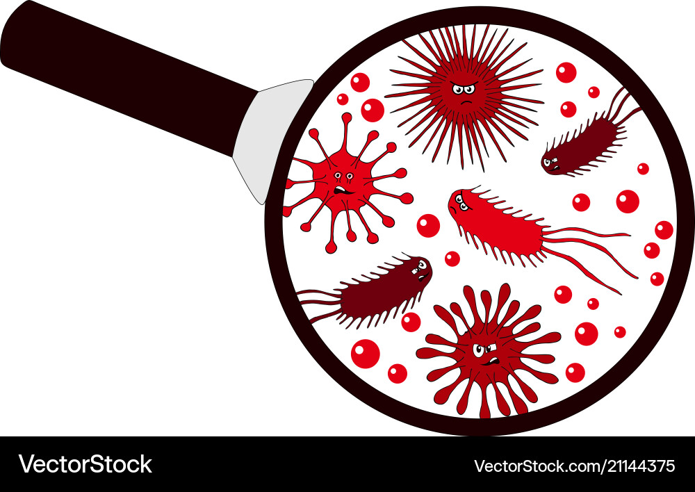 Bacterial microorganism in a magnifier bacteria Vector Image