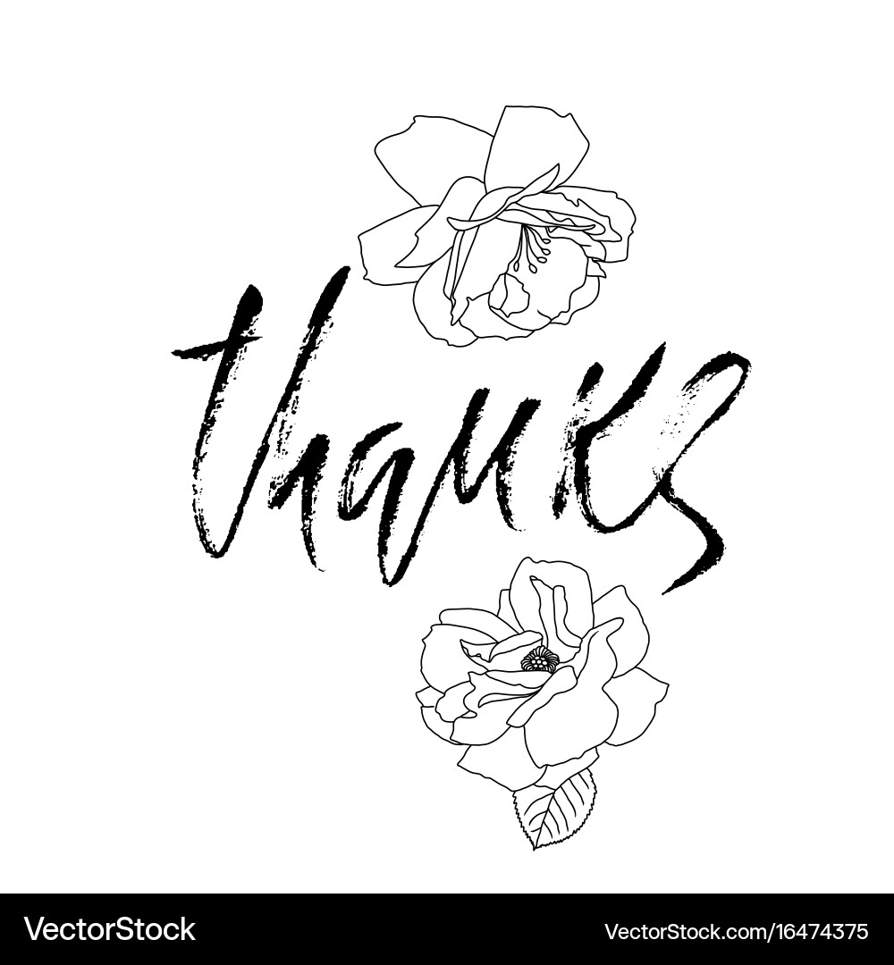 Thanks handwritten inscription hand drawn modern Vector Image