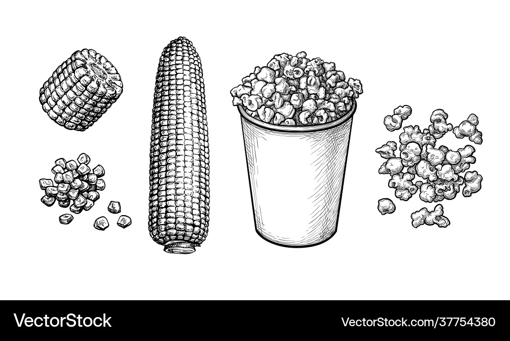 Popcorn and corn set Royalty Free Vector Image