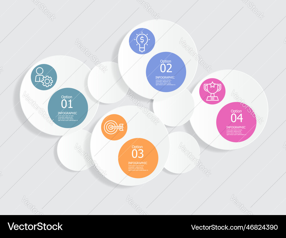 Circle steps timeline infographic element report Vector Image