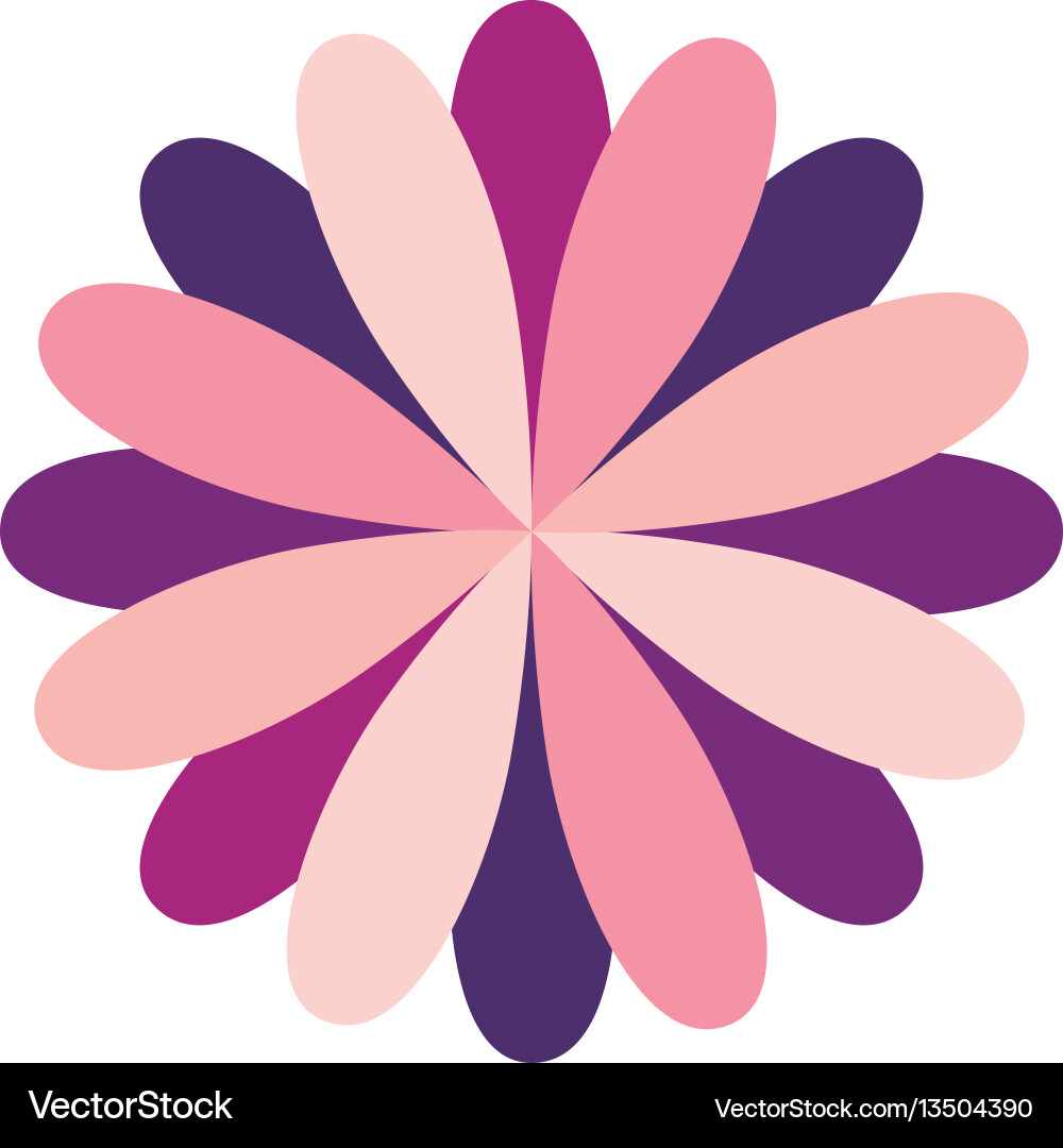 Circular flower formed petals dark and light Vector Image