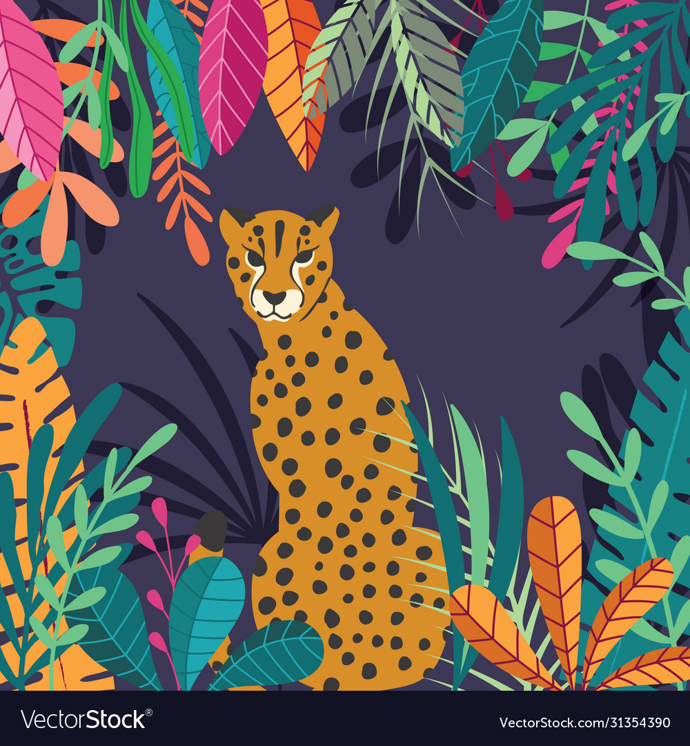 Cute exotic wild big cat cheetah sitting on dark Vector Image