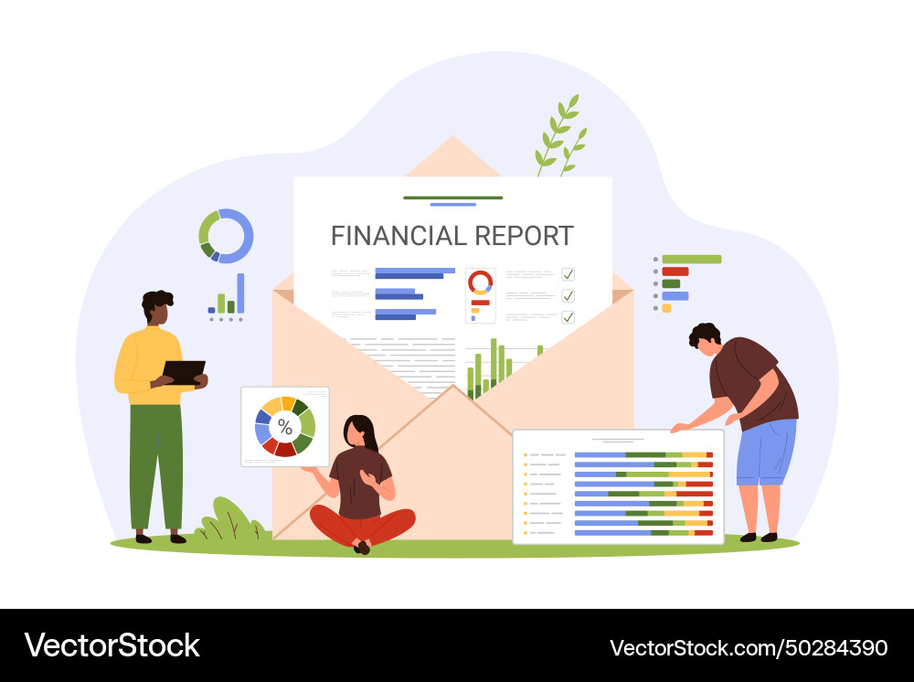 Financial reports analysis accounting and audit Vector Image