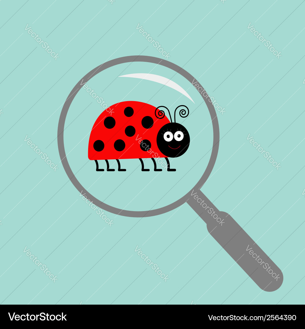 Ladybug ladybird insect under magnifier zoom lense