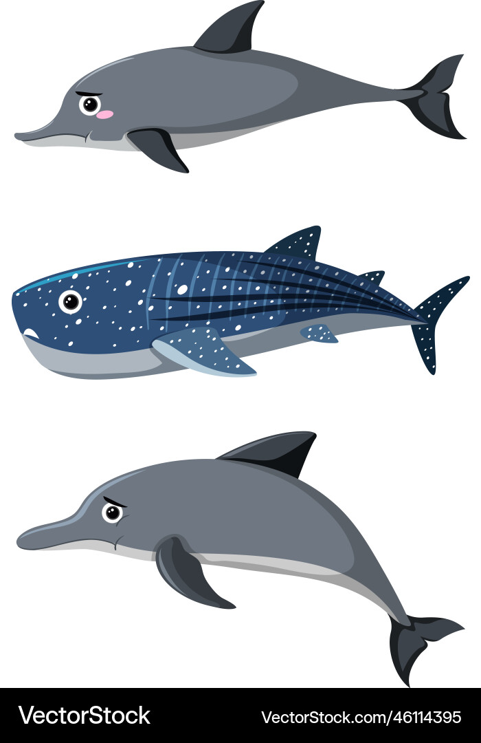Dolphin and whale cartoon set Royalty Free Vector Image