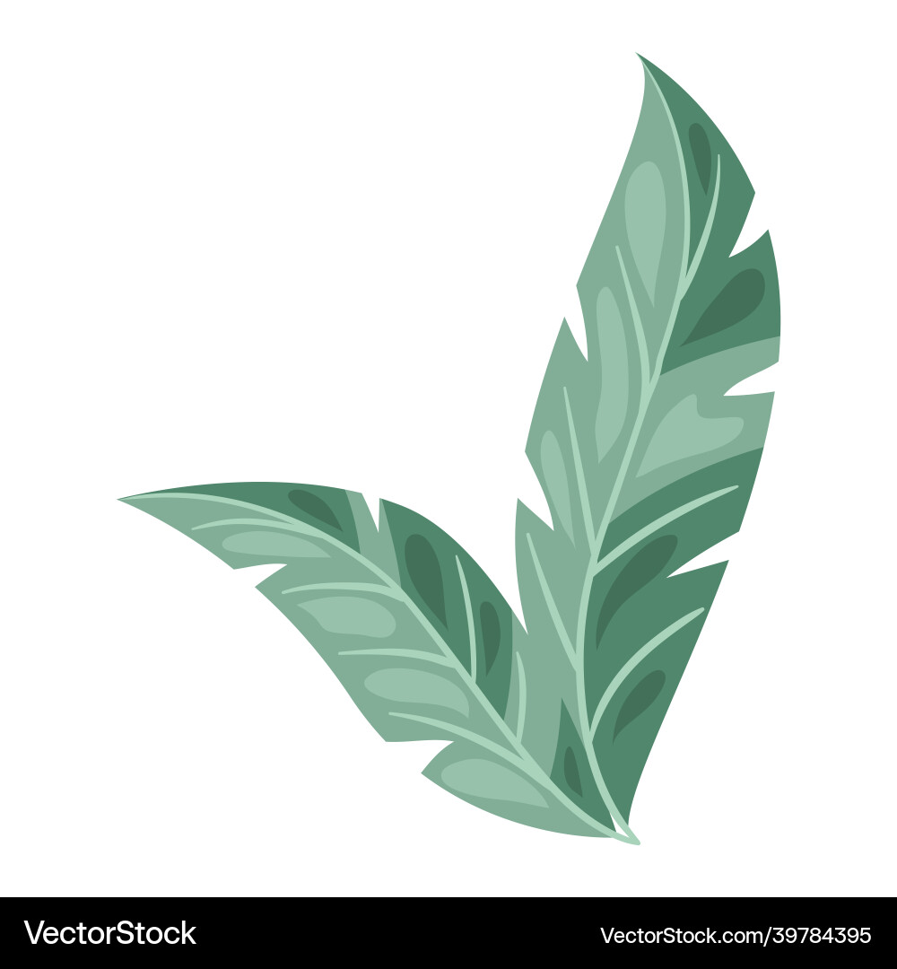 Stylized of palm leaves image Royalty Free Vector Image
