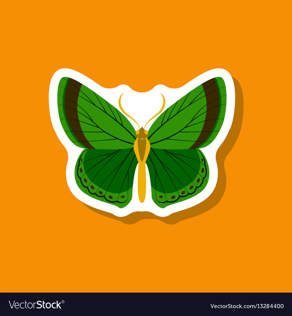 Butterfly Paper Sticker On Stylish Background Vector Image