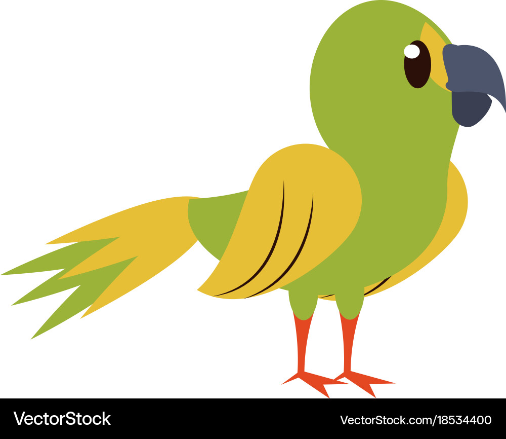 Cute parrot bird cartoon Royalty Free Vector Image