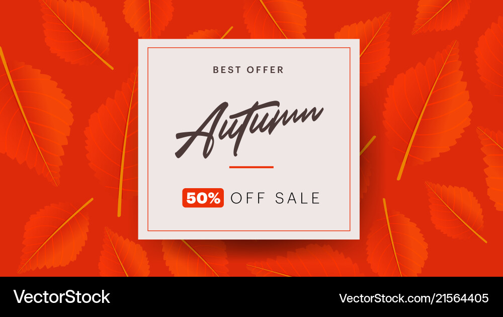Autumn background layout decorate with leaves Vector Image