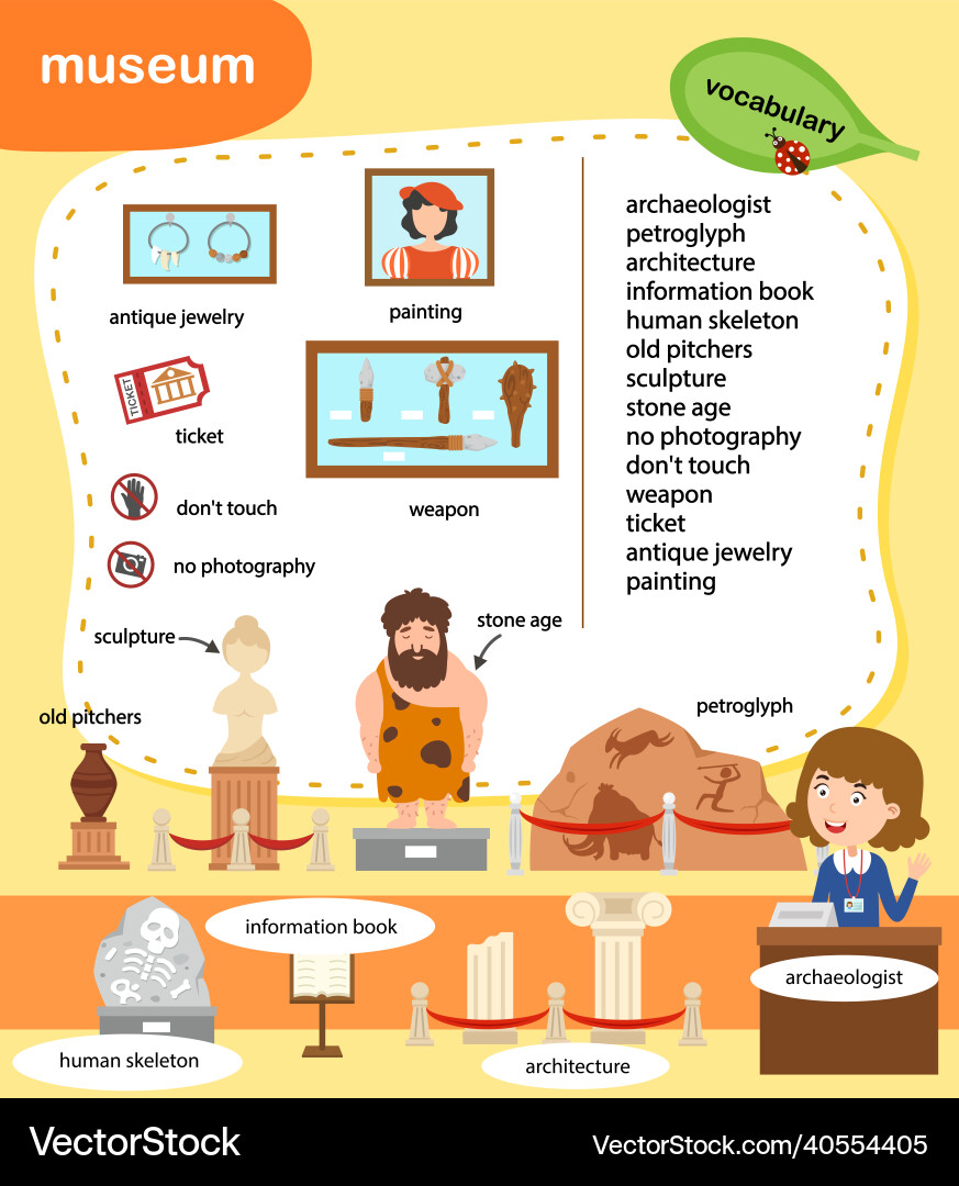 Education vocabulary museum Royalty Free Vector Image