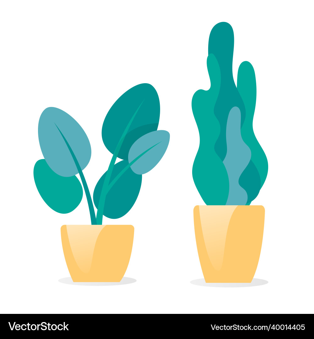 Two green plants at home set interior design Vector Image