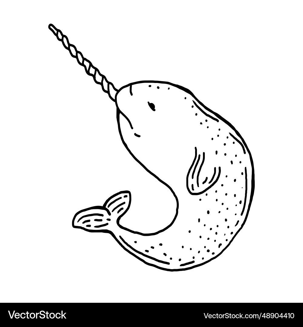 Hand drawn of narwhal Royalty Free Vector Image