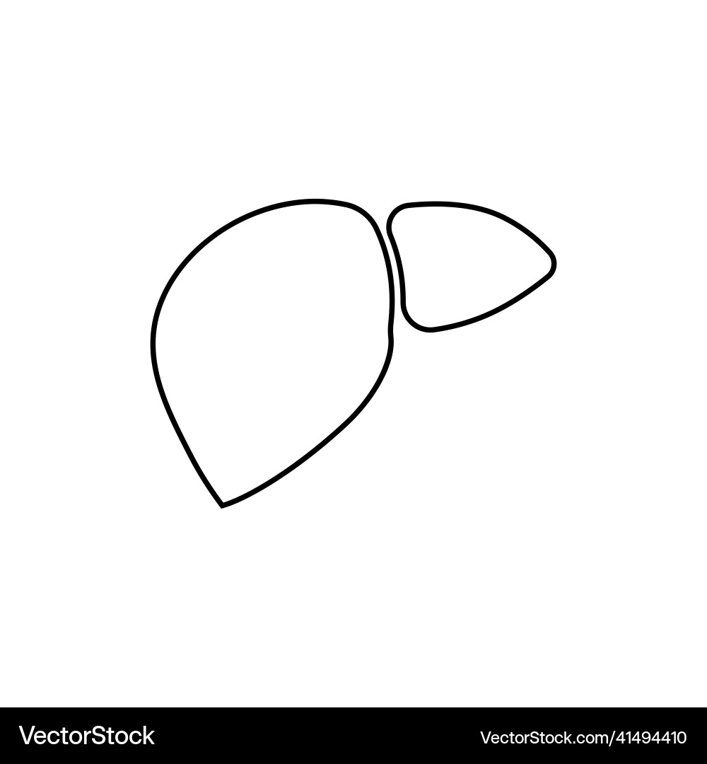 Human liver line icon isolated on white Royalty Free Vector