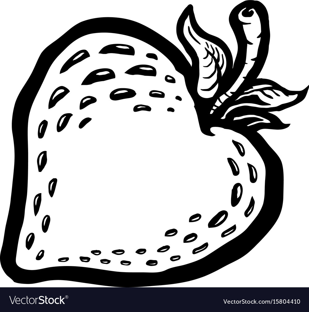 Strawberry Royalty Free Vector Image Vectorstock