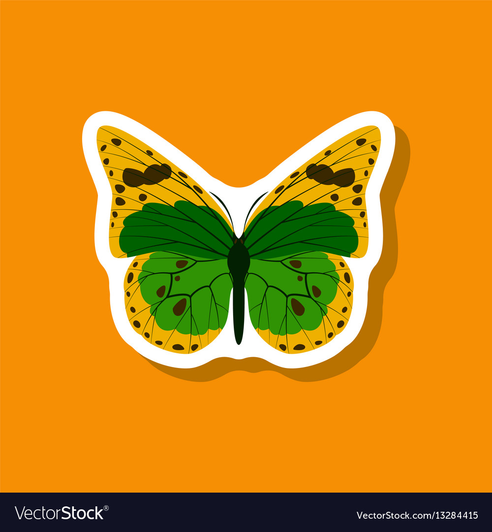Butterfly Paper Sticker On Stylish Background Vector Image