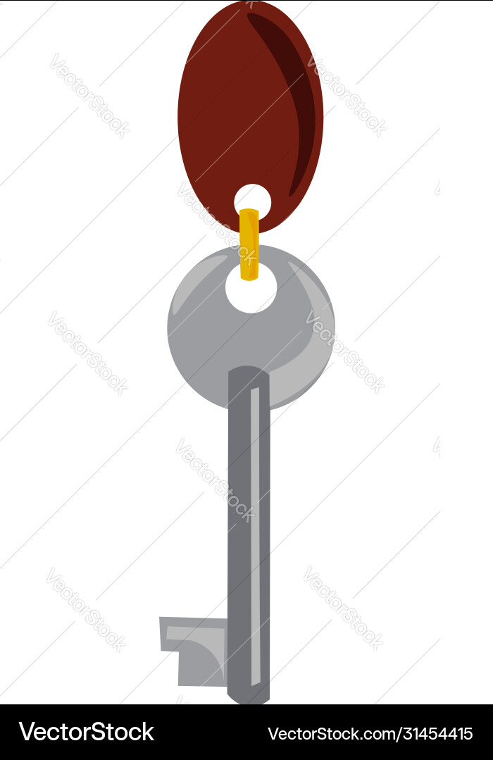Key hanging on white background Royalty Free Vector Image