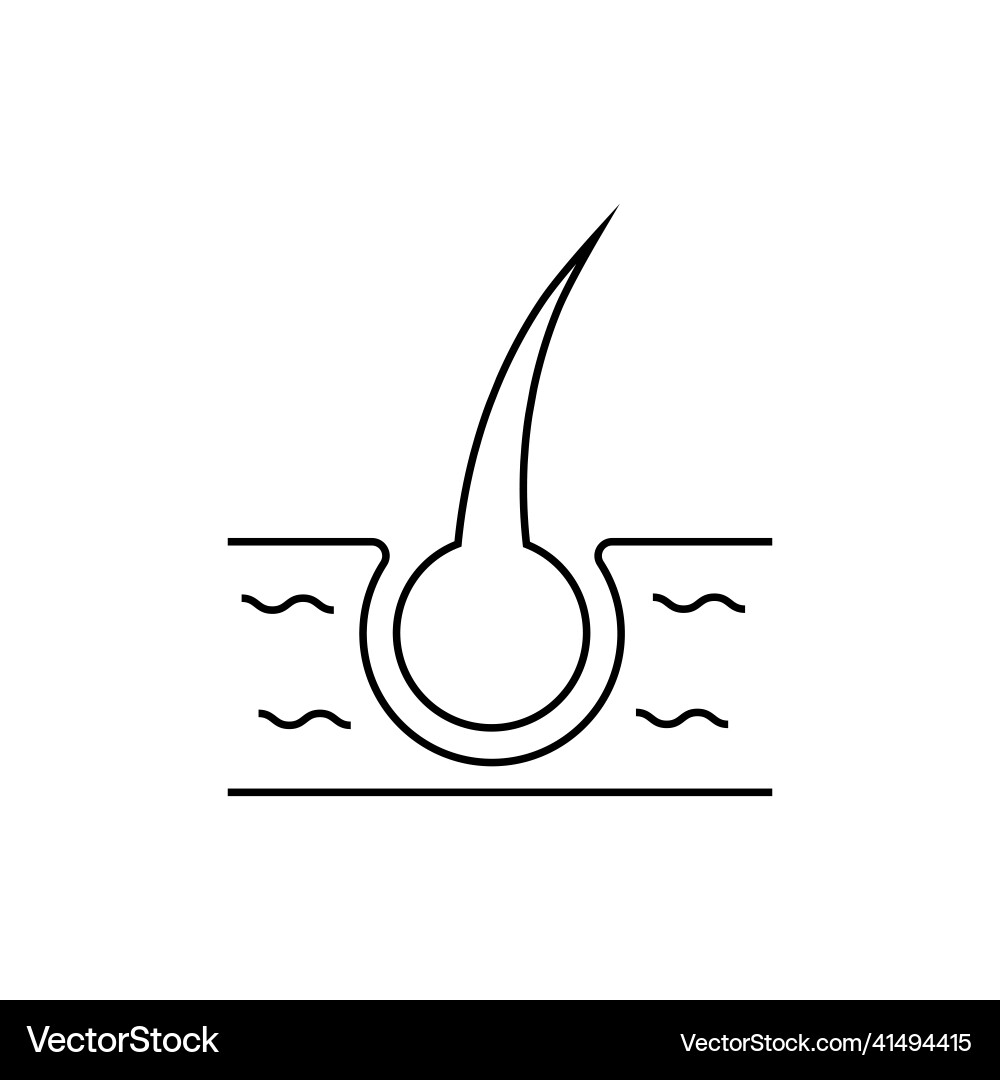 Structure of the hair Royalty Free Vector Image