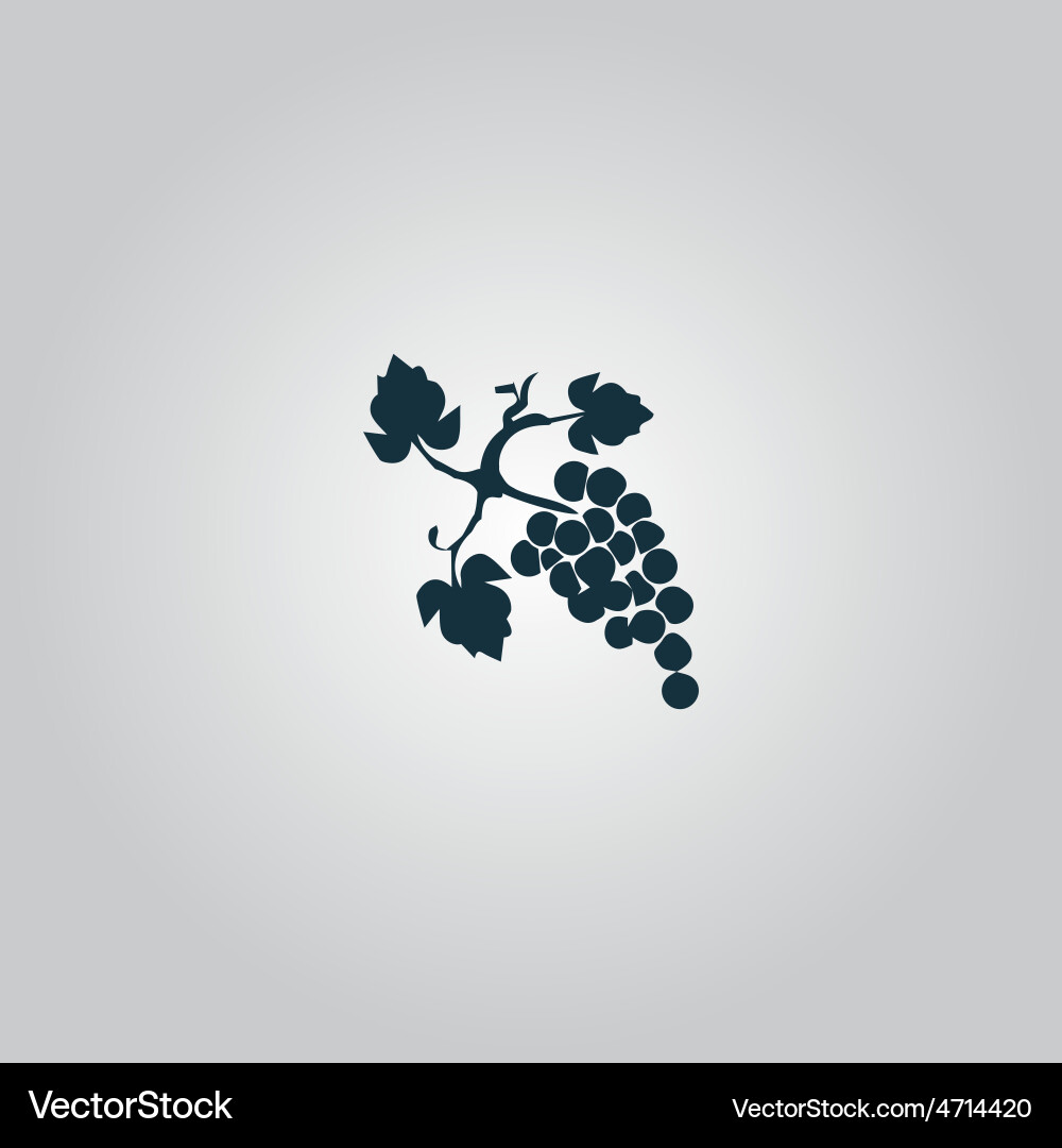 Bunch of grapes icon Royalty Free Vector Image