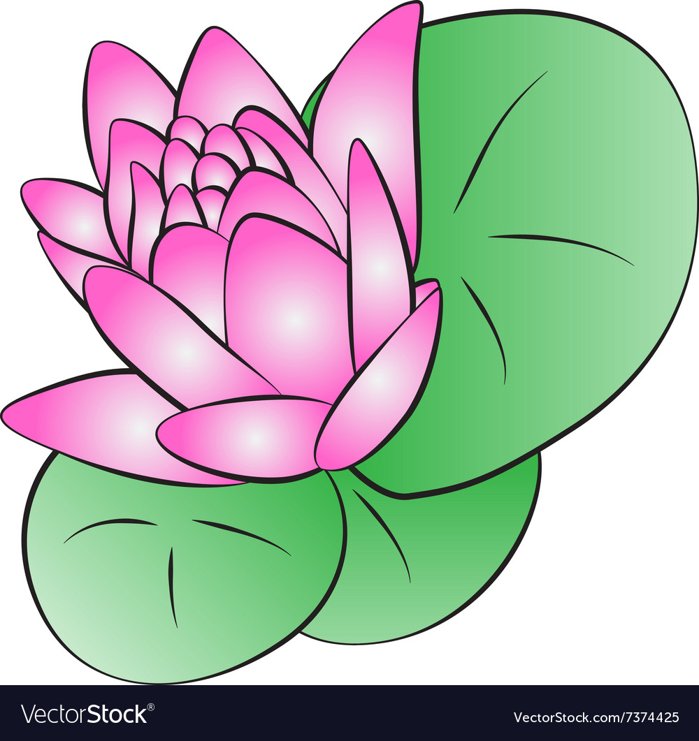 Lotus Royalty Free Vector Image - VectorStock
