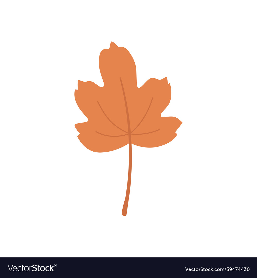 Autumn leaf isolated on a white background Vector Image