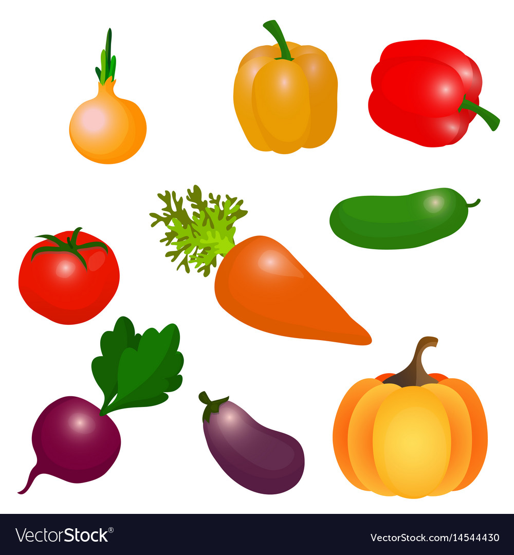 Vegetables Royalty Free Vector Image - VectorStock