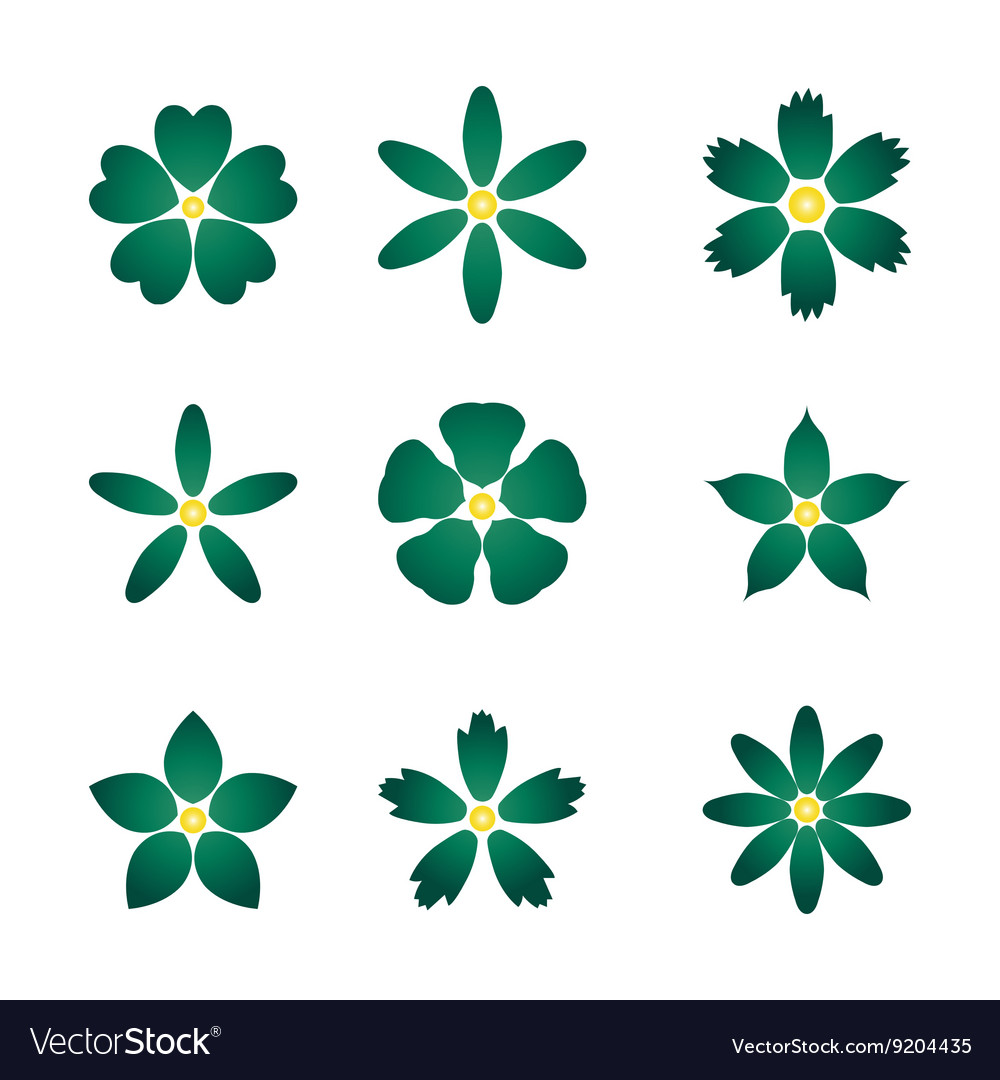 Flower bud set Royalty Free Vector Image - VectorStock