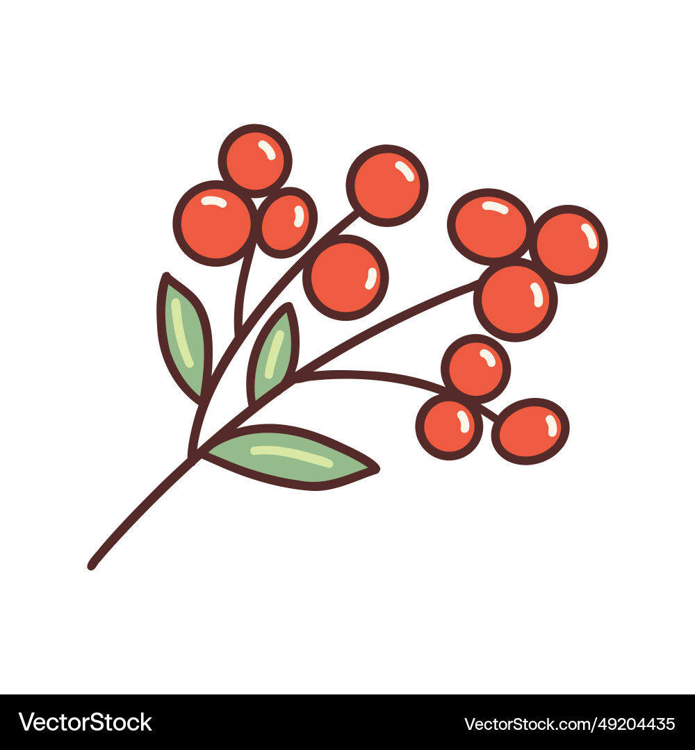 Sprig of red rowan simple Royalty Free Vector Image