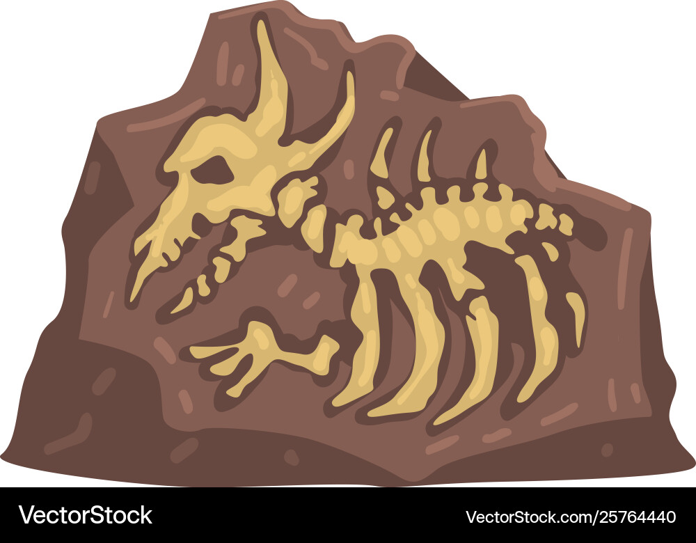 Remains prehistoric animal aarchaeological Vector Image